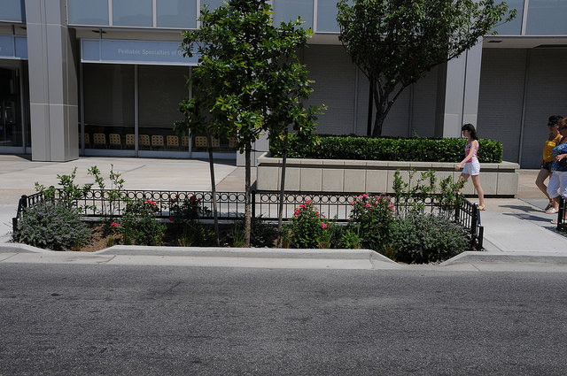 Farther Afield: NYC Curbside Gardens - Freshkills Park