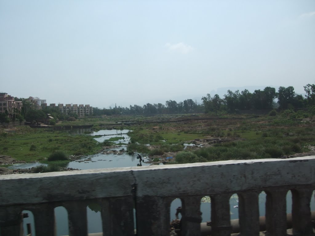 Farther Afield: Mahim Nature Park in Mumbai - Freshkills Park