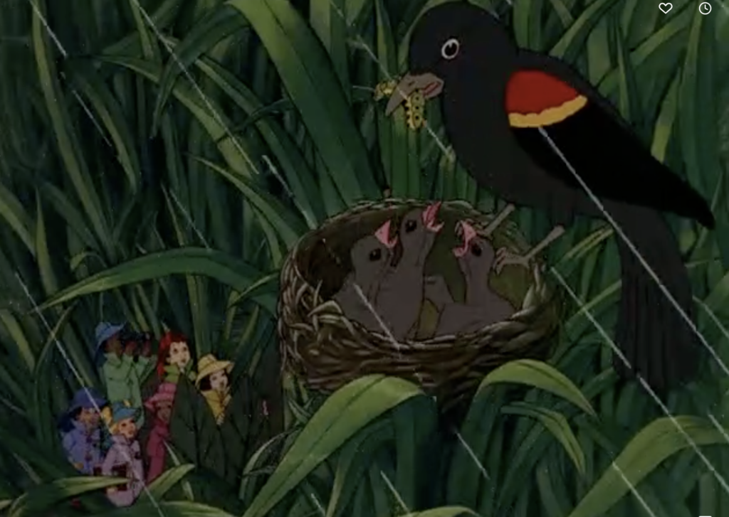 The Magic School Bus Takes the Coast - Freshkills Park