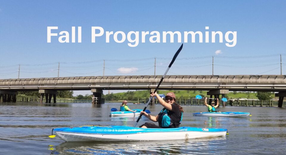 Homepage - Freshkills Park Alliance