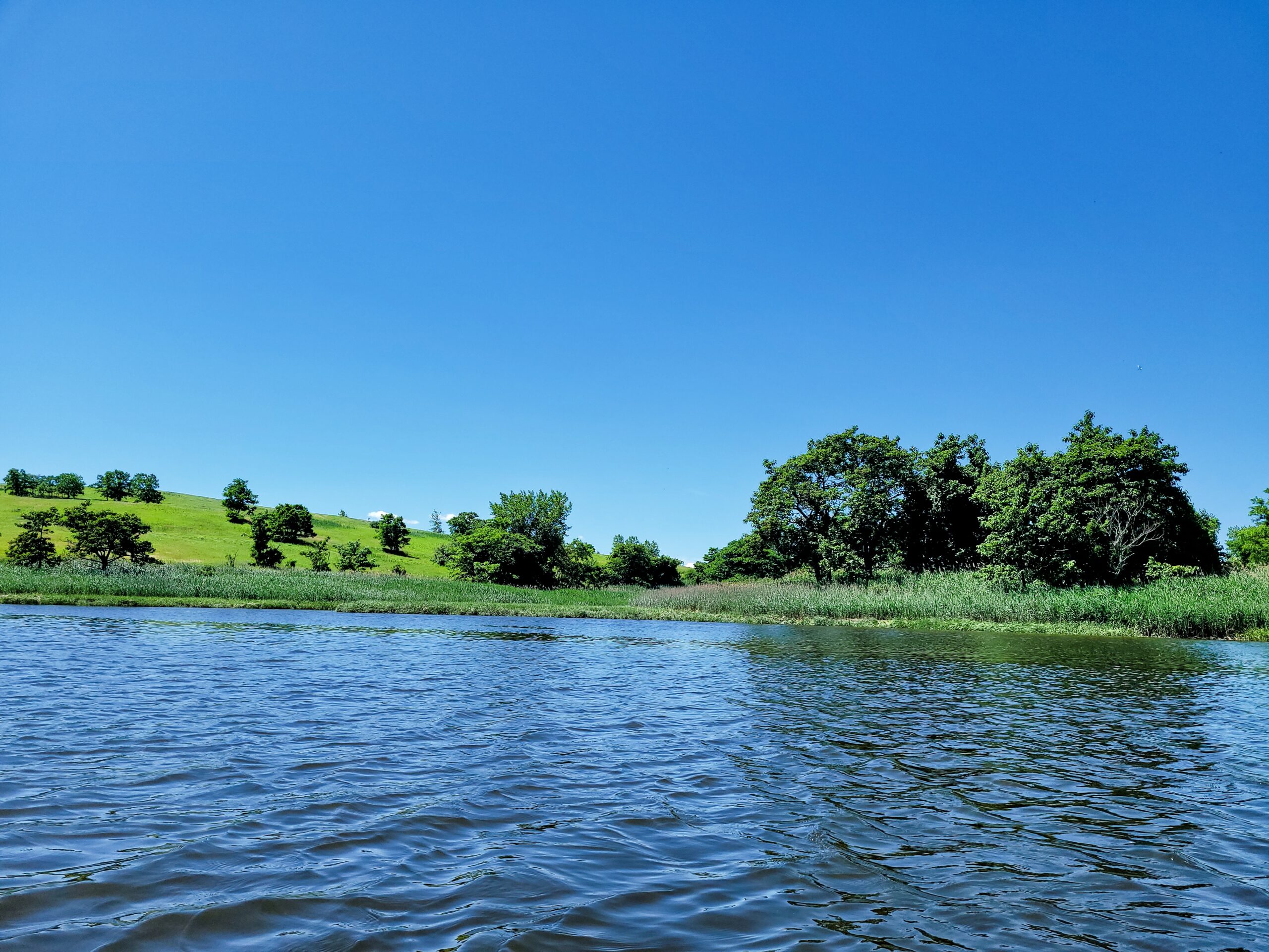 Kayak Tour - 9/12/21 @ 11:30 AM - Freshkills Park