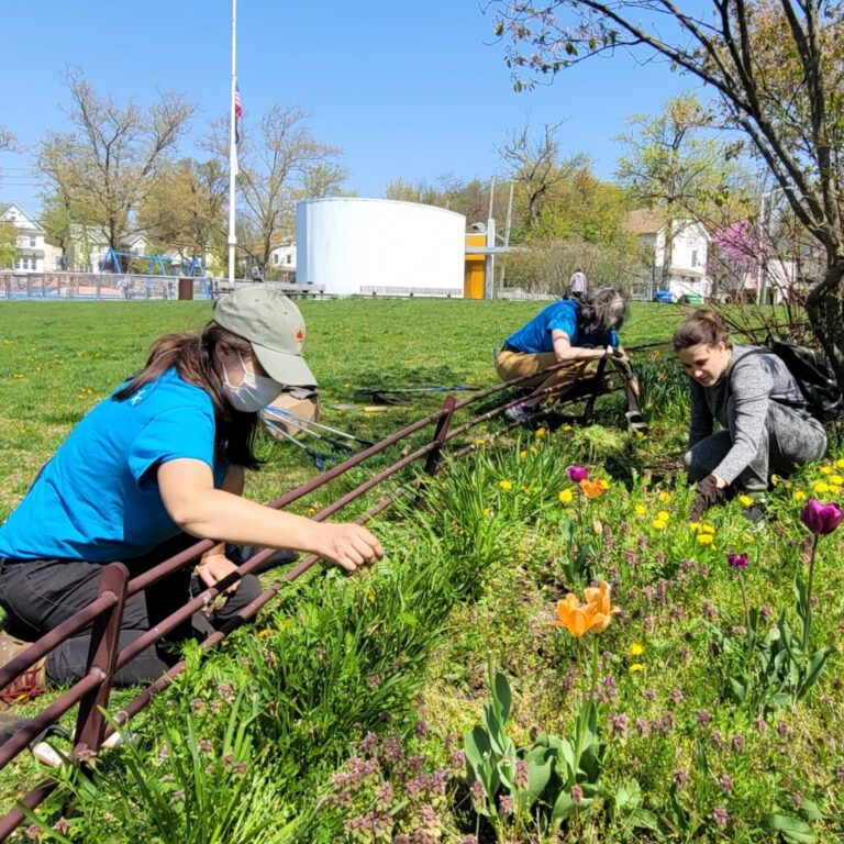 Volunteer Landscaping @ Schmul Park - Freshkills Park
