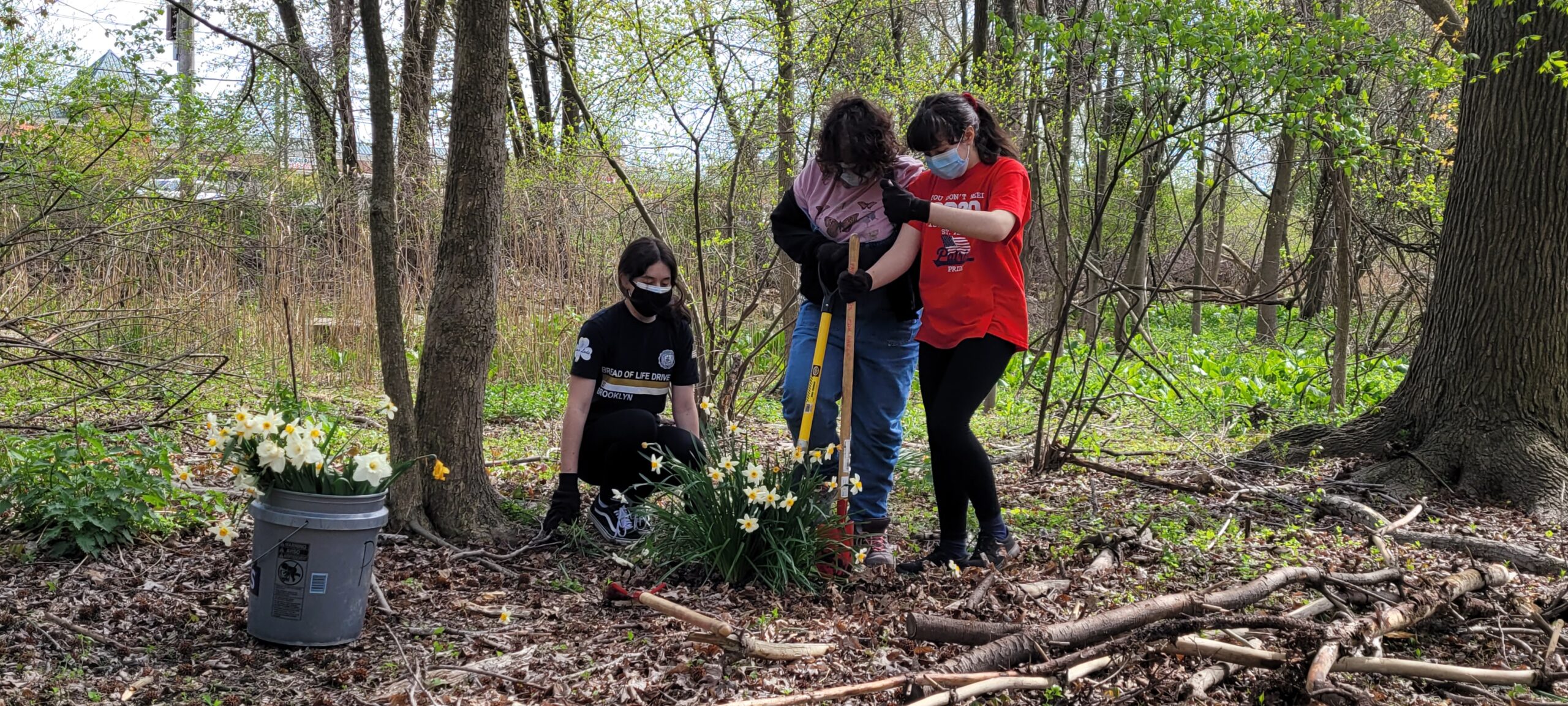 Volunteer Landscaping @ Freshkills Studio + Gallery - Freshkills Park