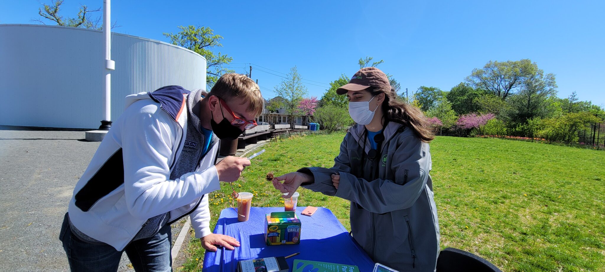 Pollinator BioBlitz & Volunteer Landscaping at Schmul Park - Freshkills ...