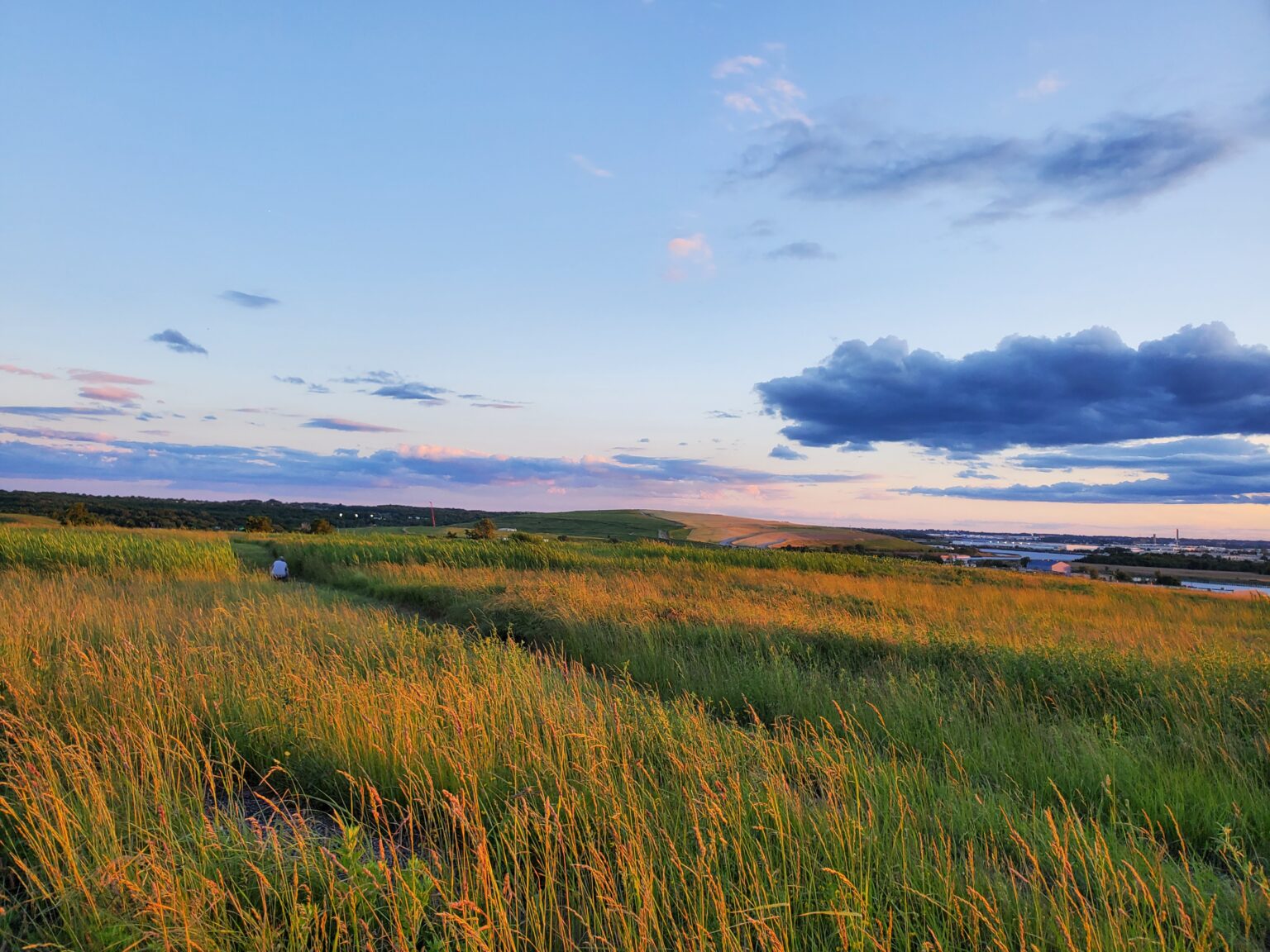 Fall Sunset Stroll - Freshkills Park