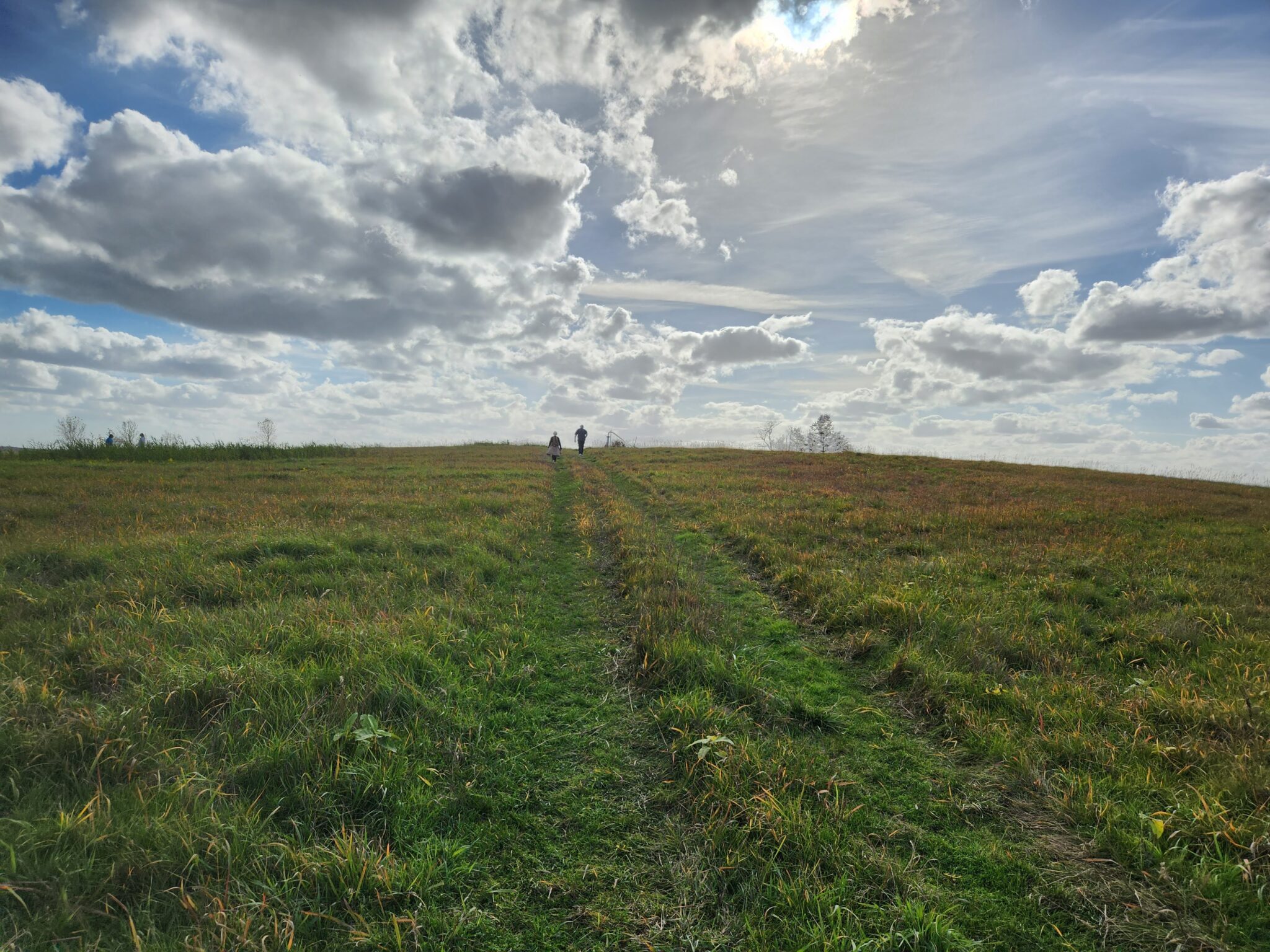 Freshkills Park Virtual Tour - Freshkills Park